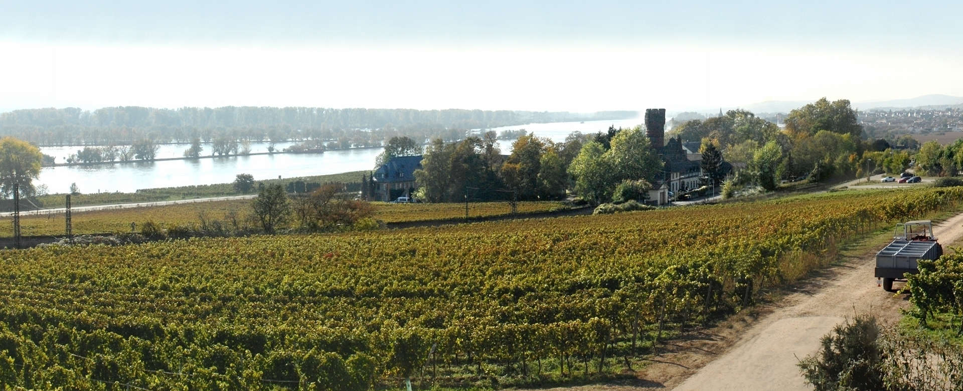 BARTH VDP Weingut und Sektgut aus dem Rheingau - About us